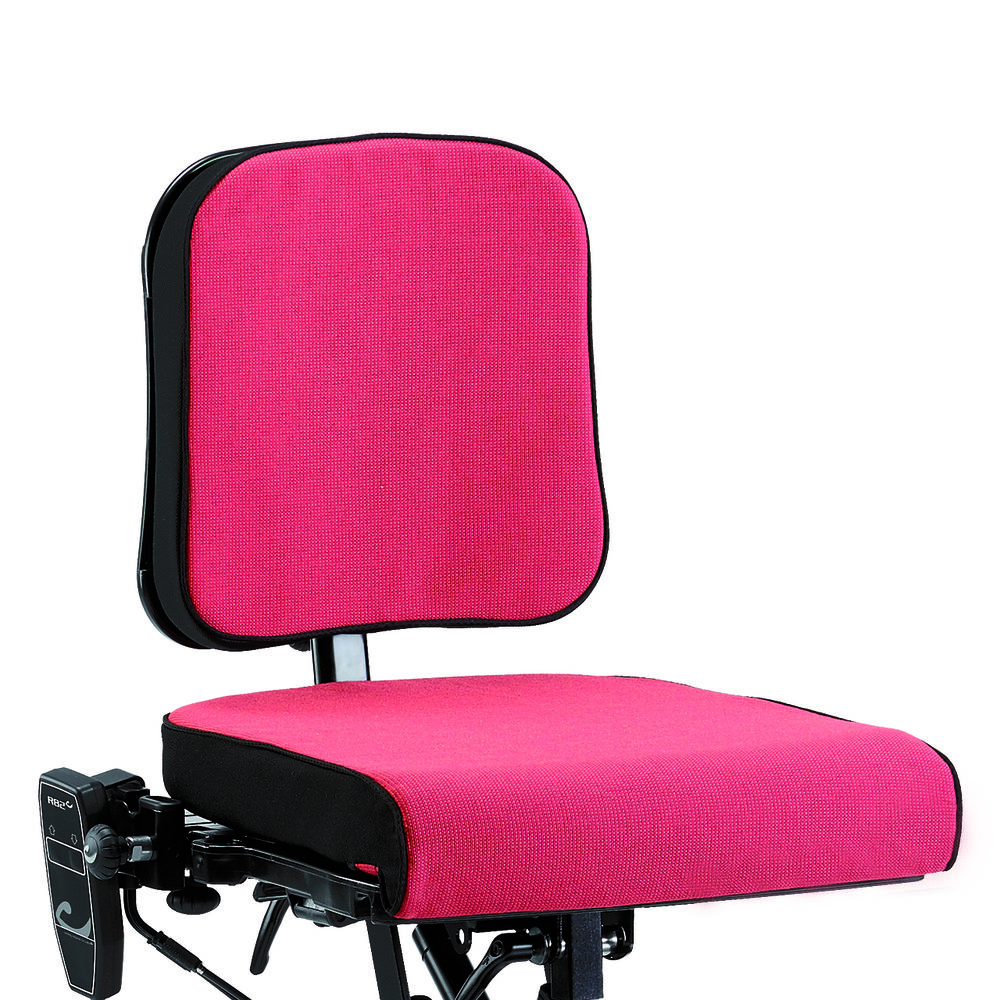 Back and seat cushion