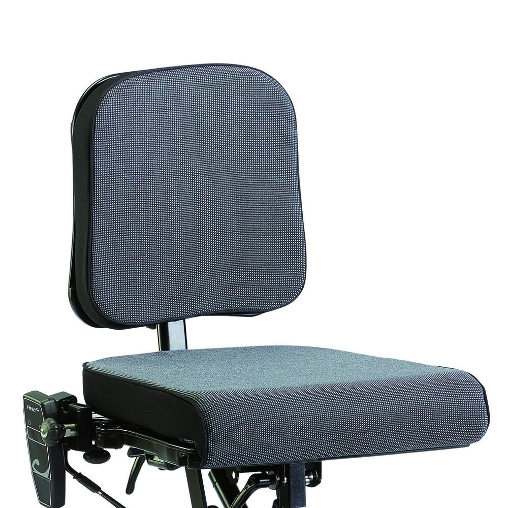 Back and seat cushion